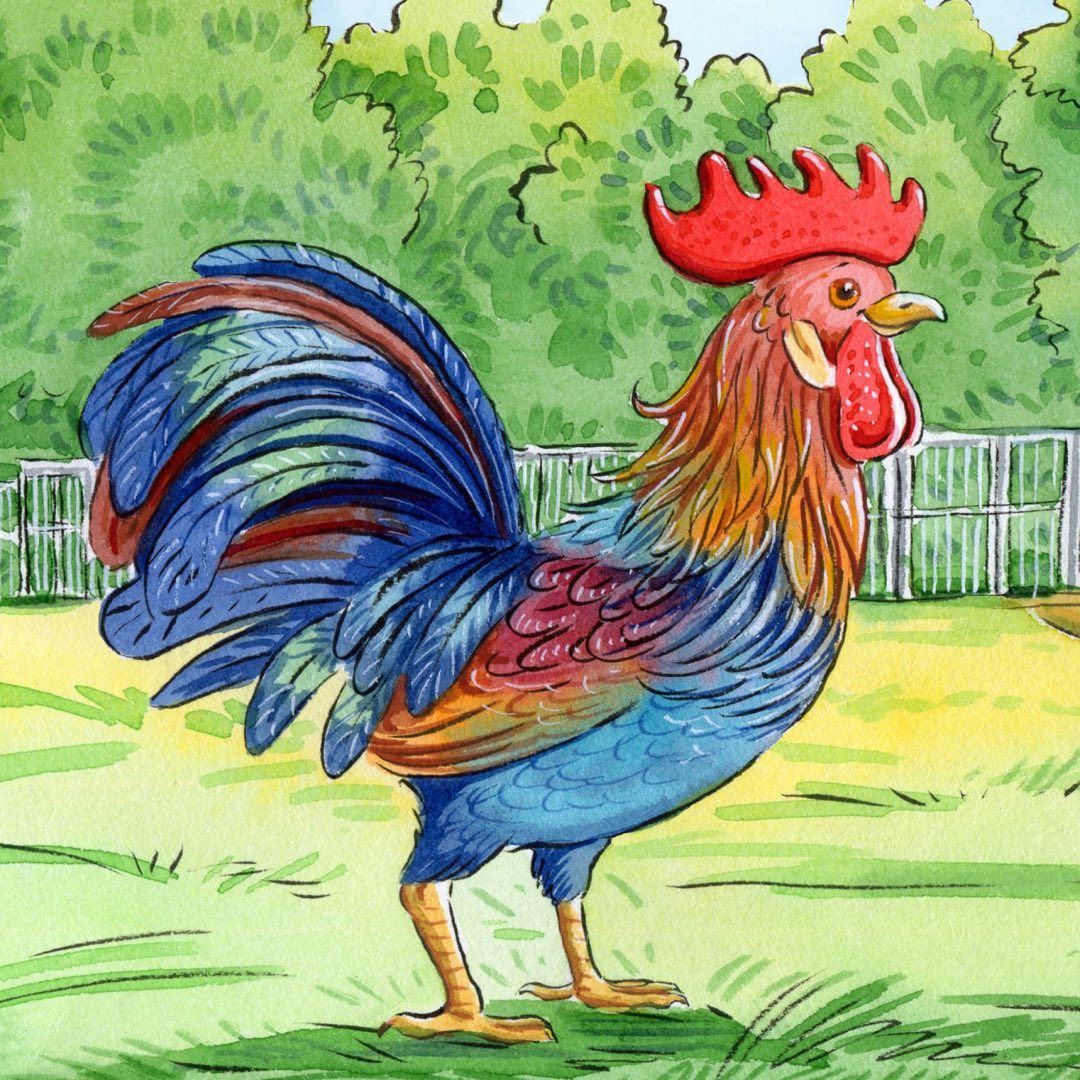 Roscoe the Rooster