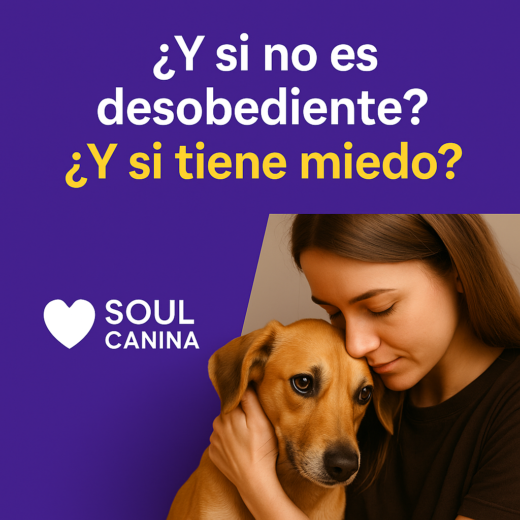 🐶 10 señales para saber si tu perro tiene miedo | Soul Cani