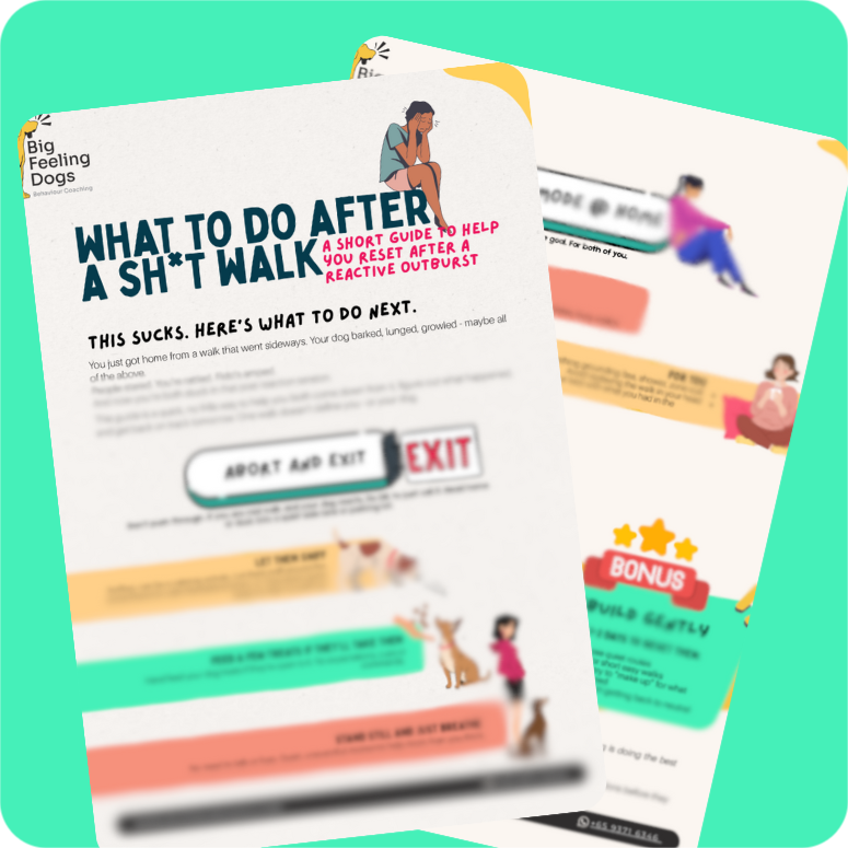 What To Do After A Brutal Walk