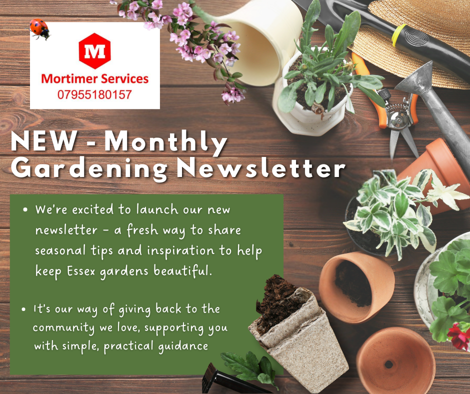 Mortimer Gardening & Landscaping Newsletter