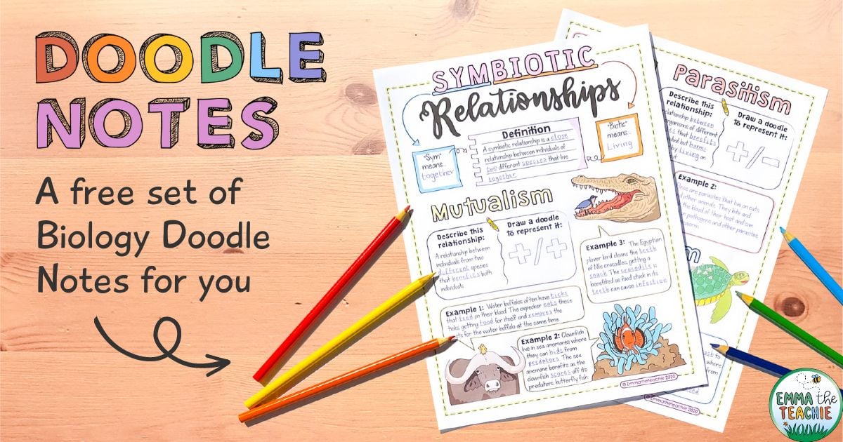 Free Biology Doodle Notes For Middle and High School Ecology