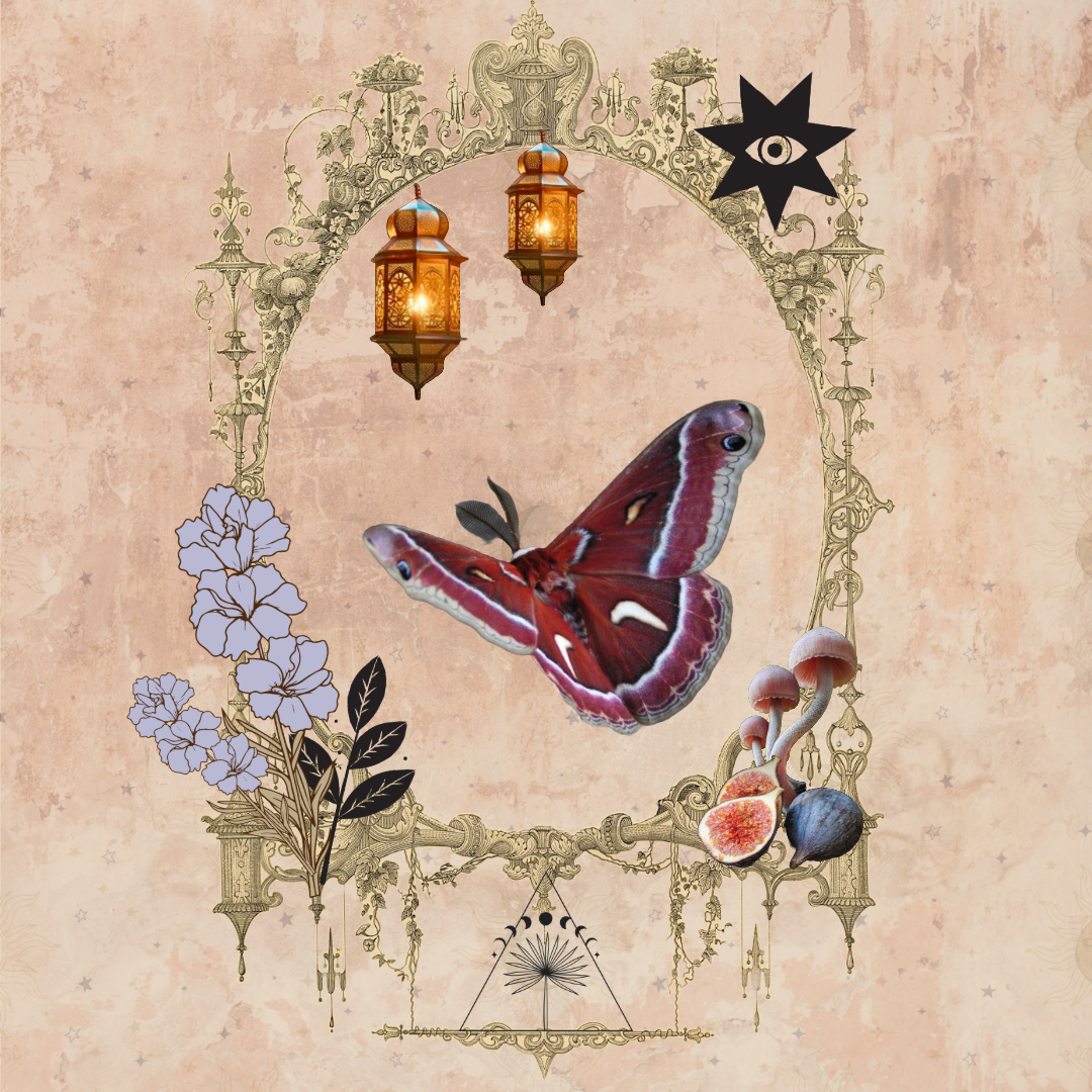 Meet Luna & Fable – Magical Creatures of a Dreamlike World