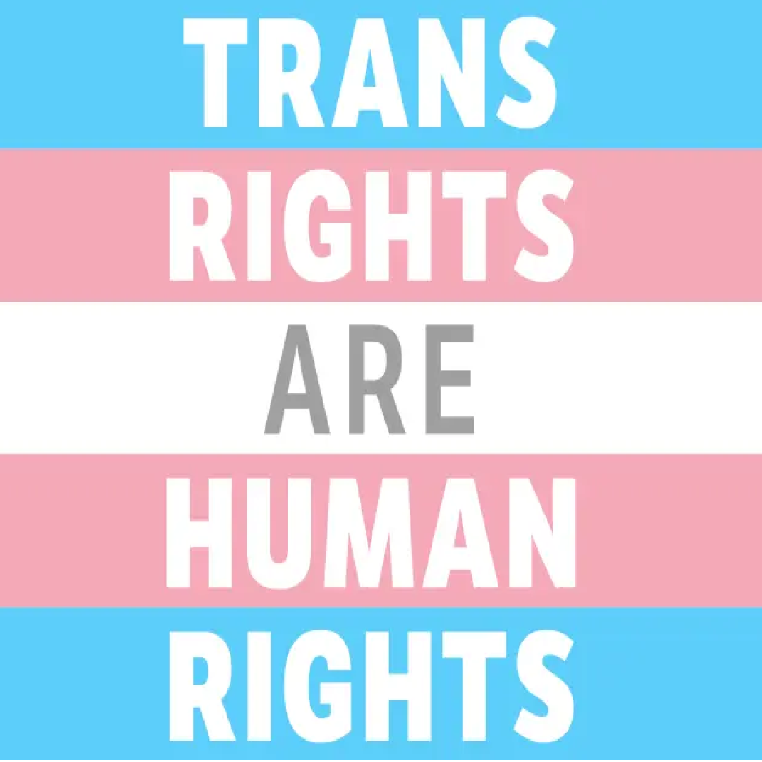 Standing up for trans rights at your local council