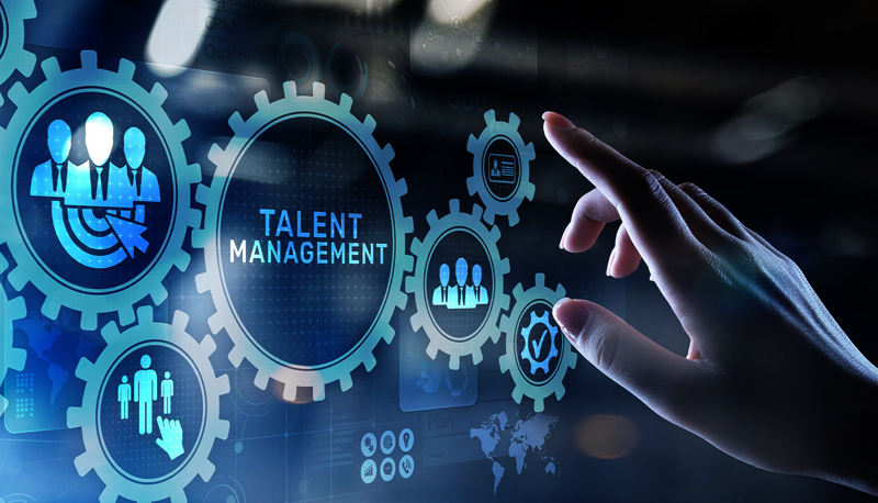 WEBINAR: Back to Basic - Talent Management