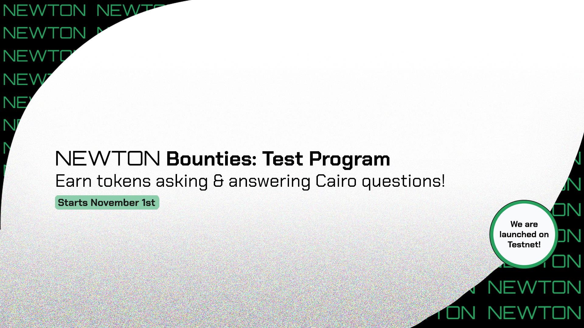 Newton Bounties | Incentivized Test Program