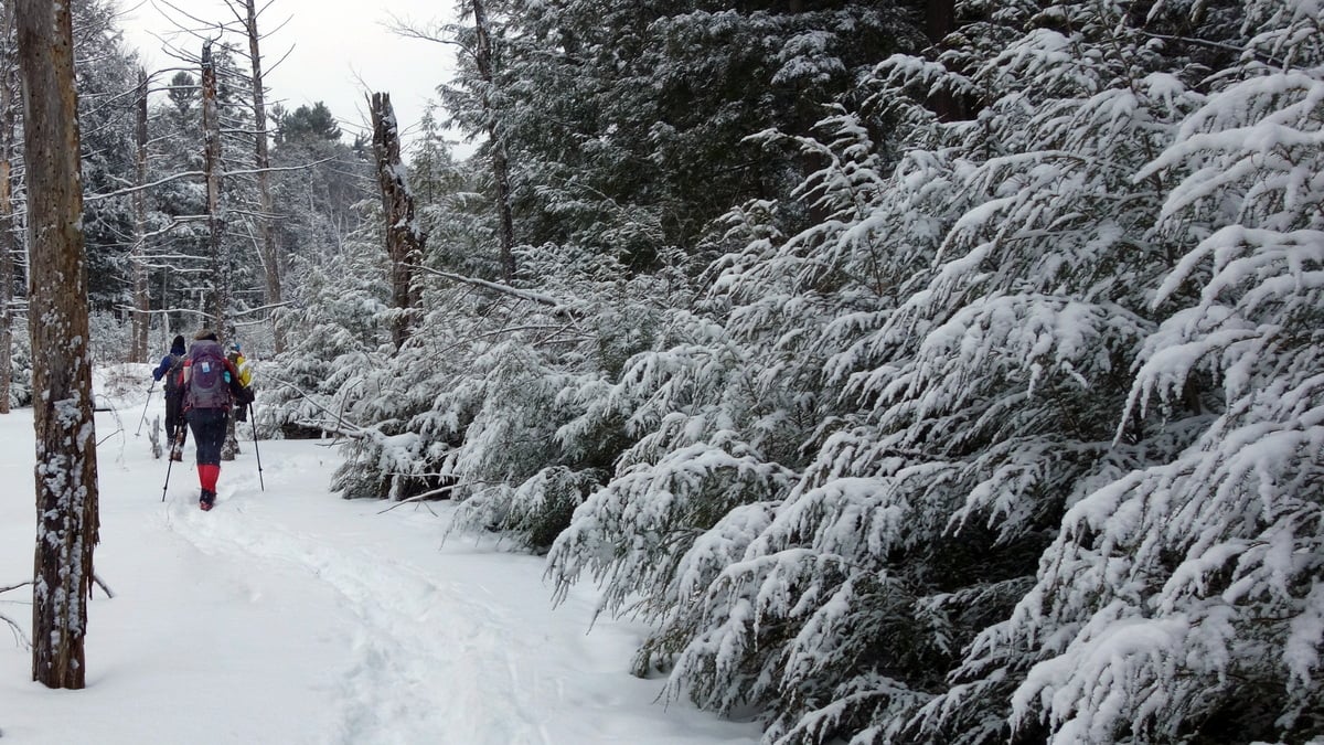P15 to Brown Cabin Snowshoe-Moderate