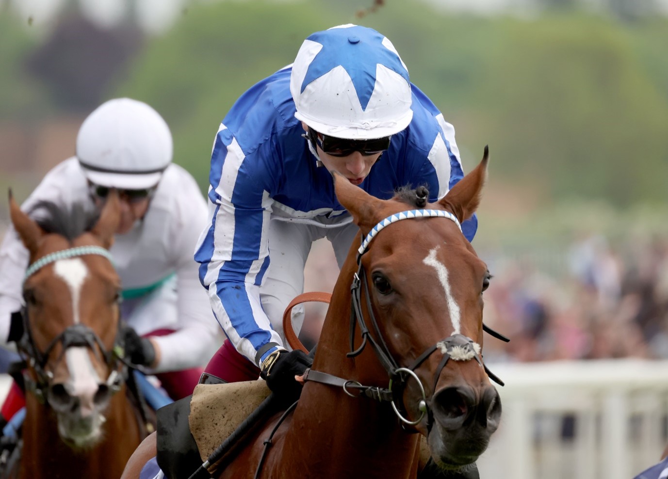 King Power Racing With Two Live Chances At The Saudi Cup Meeting ...