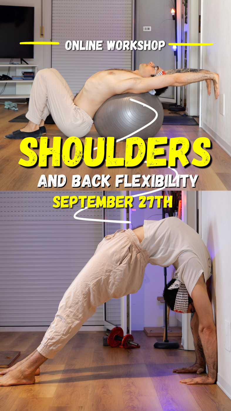 the flexibility guy shoulder and back online workshop