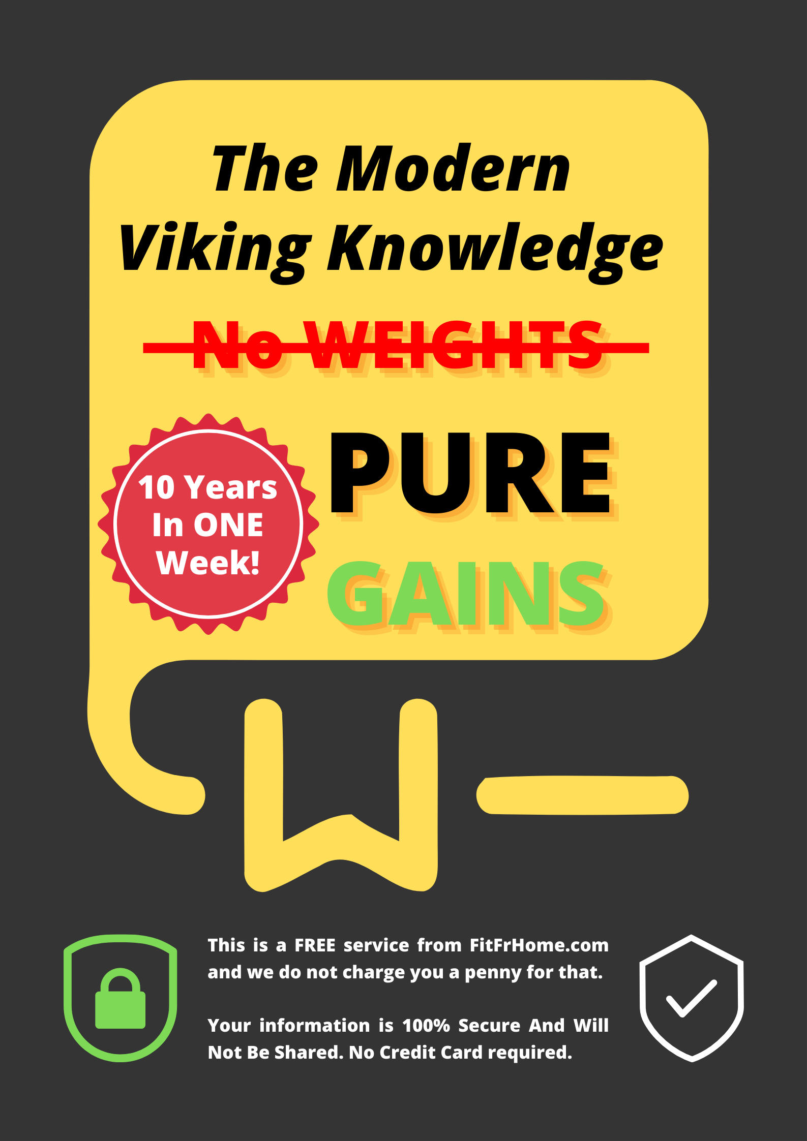 Modern Viking Newsletter