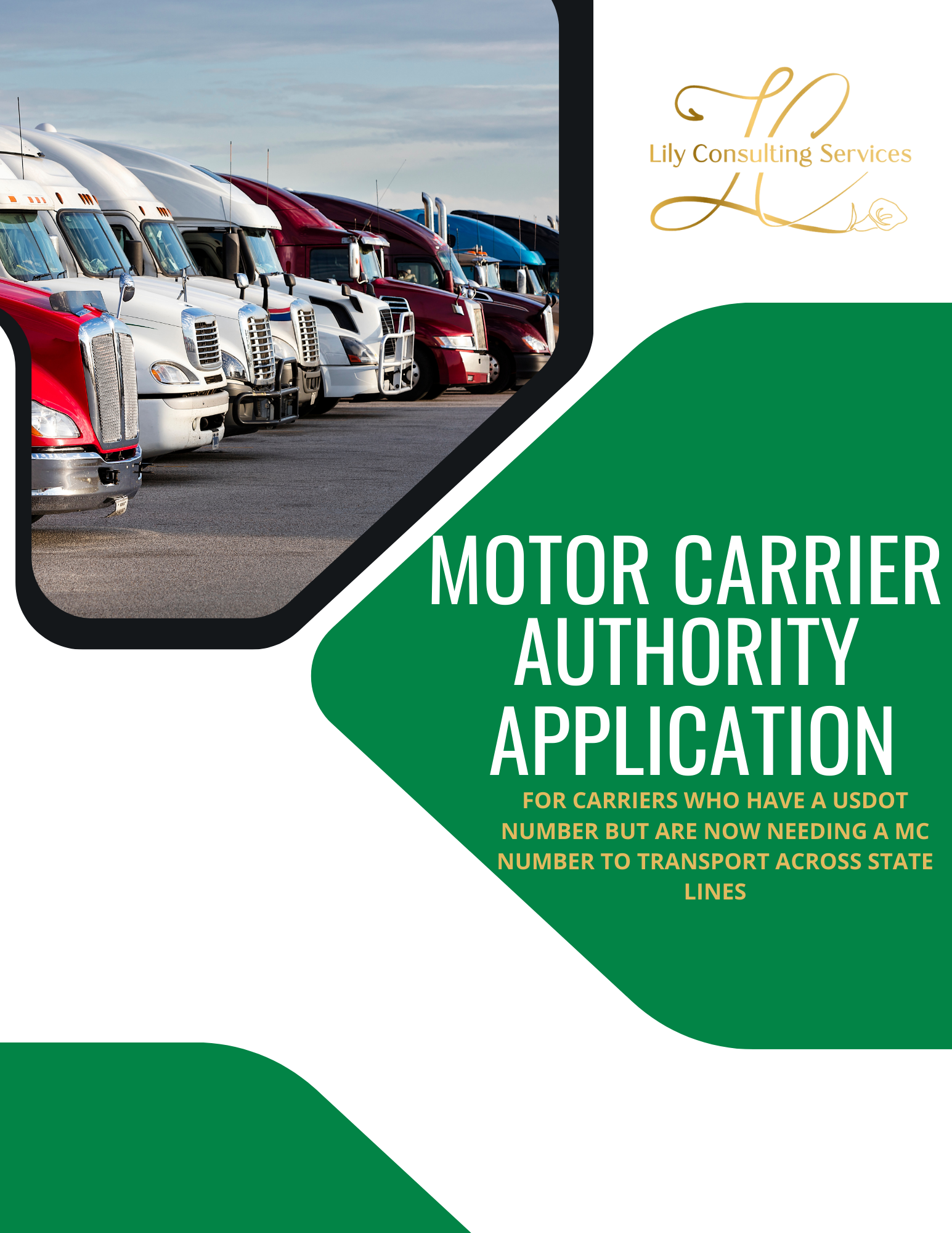 Lily Consulting Services