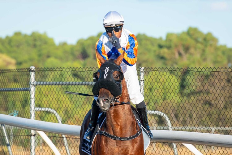 Vahala Racing Stables