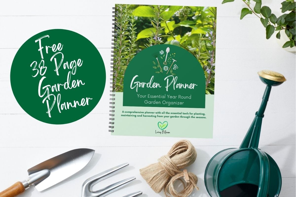 How To Use Sage Green: Best Colour Combinations - Loving It Green