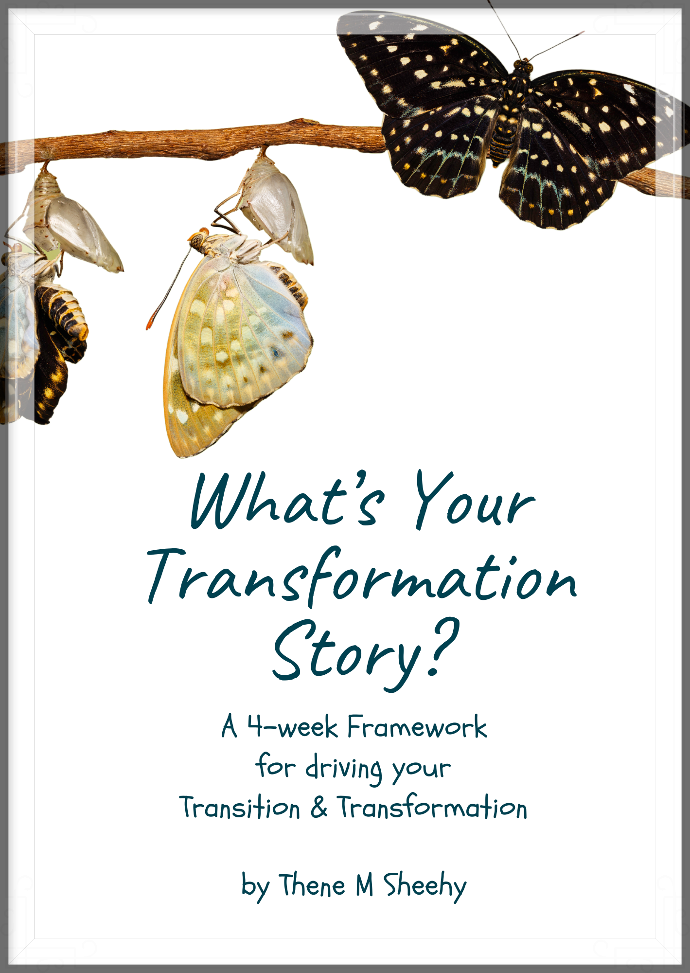 What's Your Transformation Story - Get the Workbook