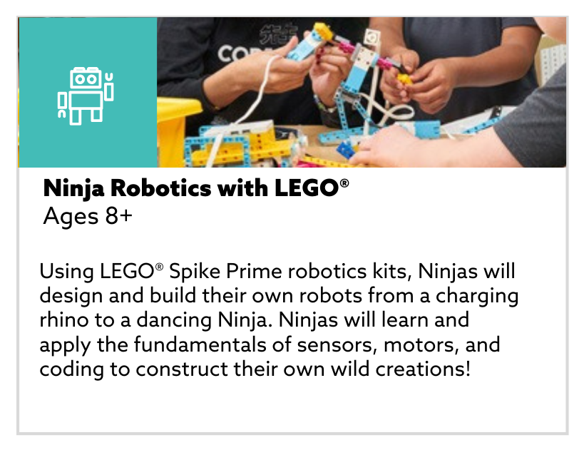 Code Ninjas Barrie Summer Camp 2024