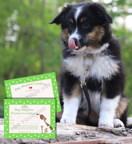 Dog Adoption PROMISE Certificate
