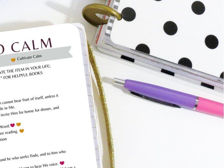 Roadmap to Calm: Find Balance, Peace, and Productivity Today