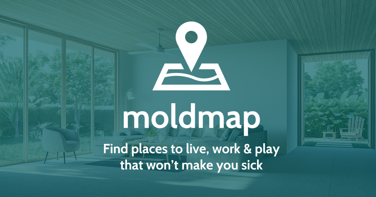 Moldmap - Discover Clean Hotels, Apartments, and More