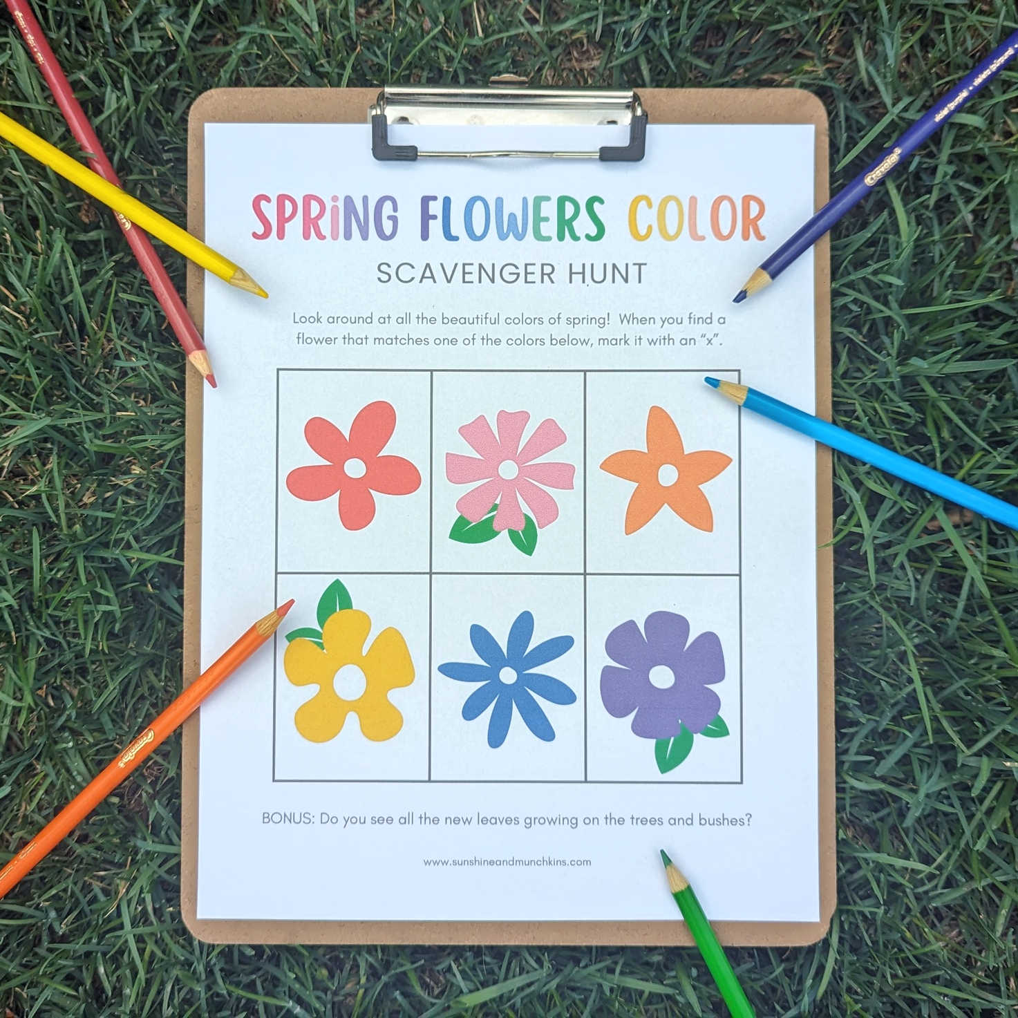 Spring Flowers Color Scavenger Hunt Printable - Sunshine and Munchkins